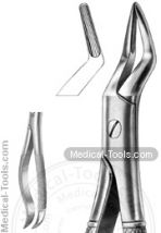 English Extracting Forceps No.101 | Medical Tools Shop